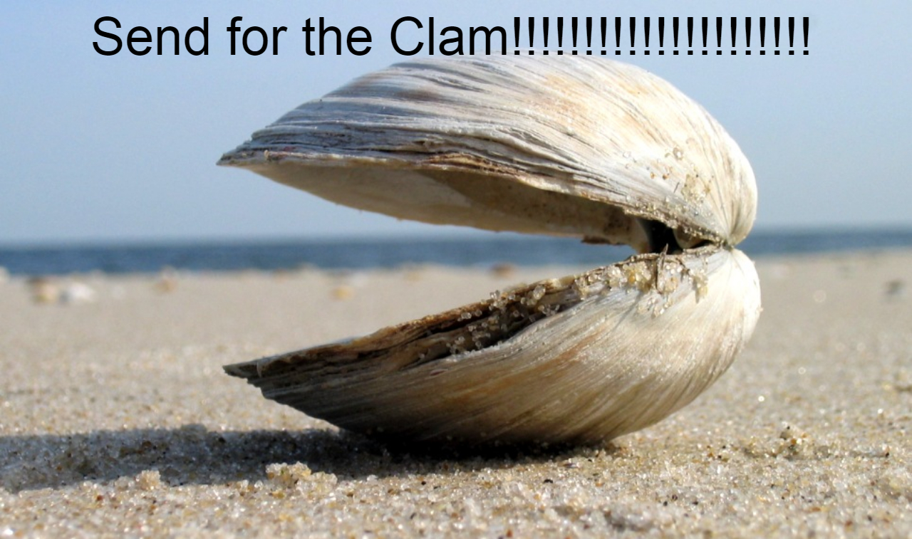 Mike Reviews Shows Considered To Be Stinkers – WCW Bash At The Beach ...