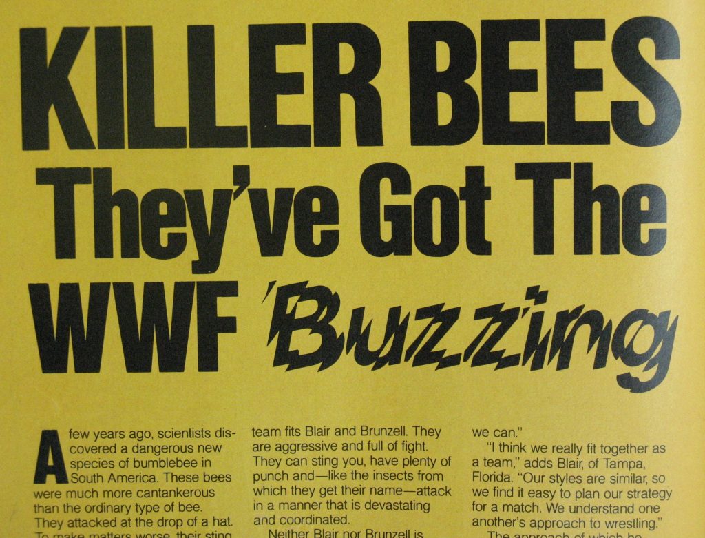 Flashback Friday: WWF Magazine October 1985 - Scott's Blog of Doom!