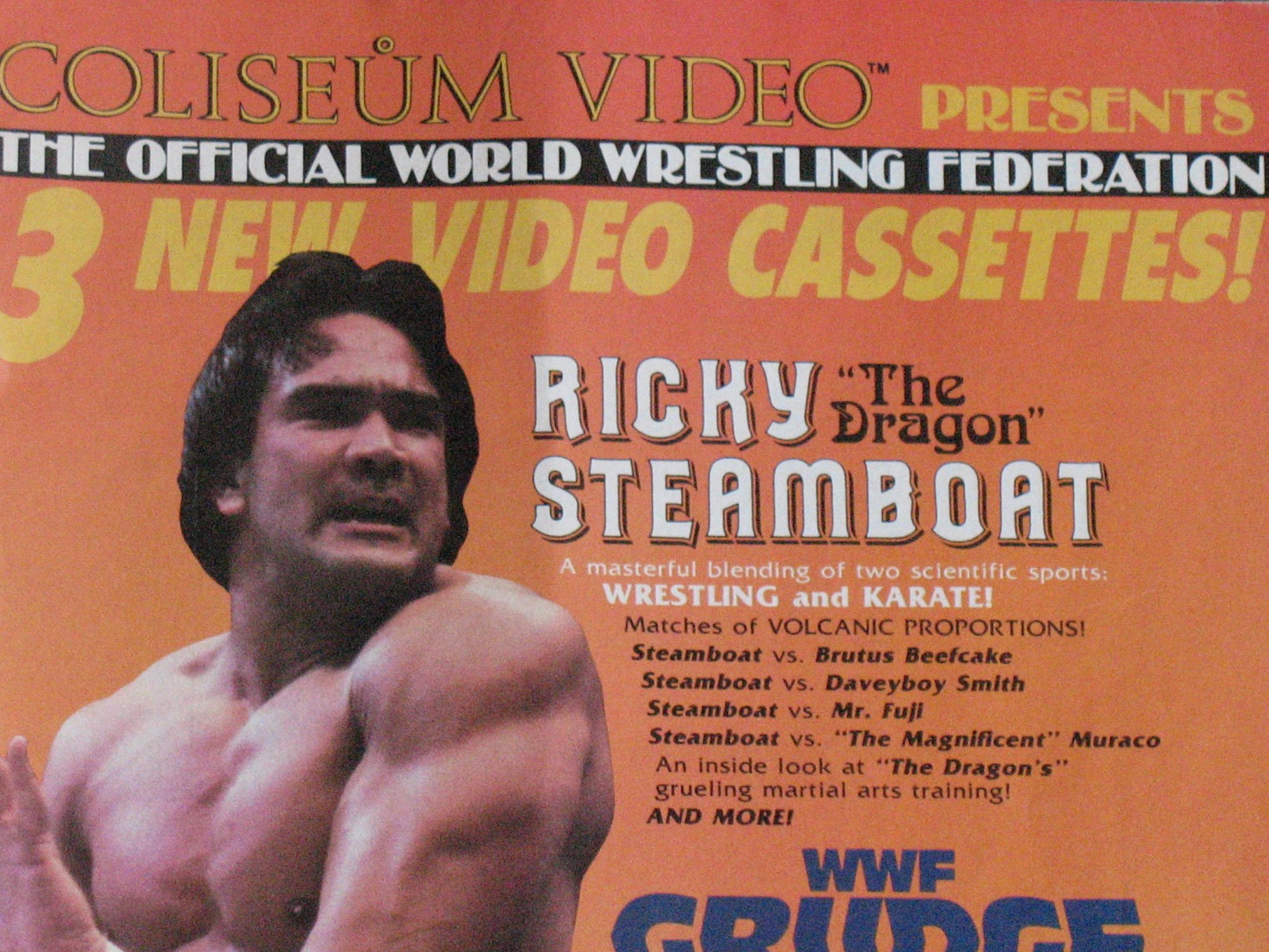 Flashback Friday: WWF Magazine June 1986 - Scott's Blog of Doom!