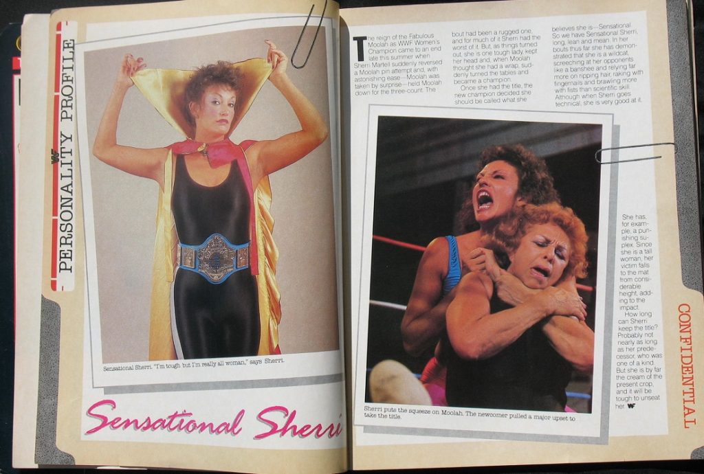 Flashback Friday: WWF Magazine November 1987 - Scott's Blog of Doom!