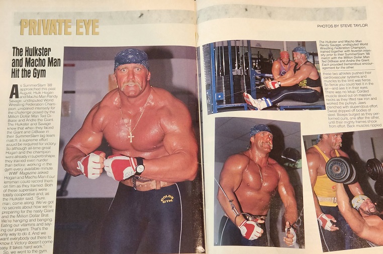 Flashback Friday: WWF Magazine October 1988 - Scott's Blog of Doom!