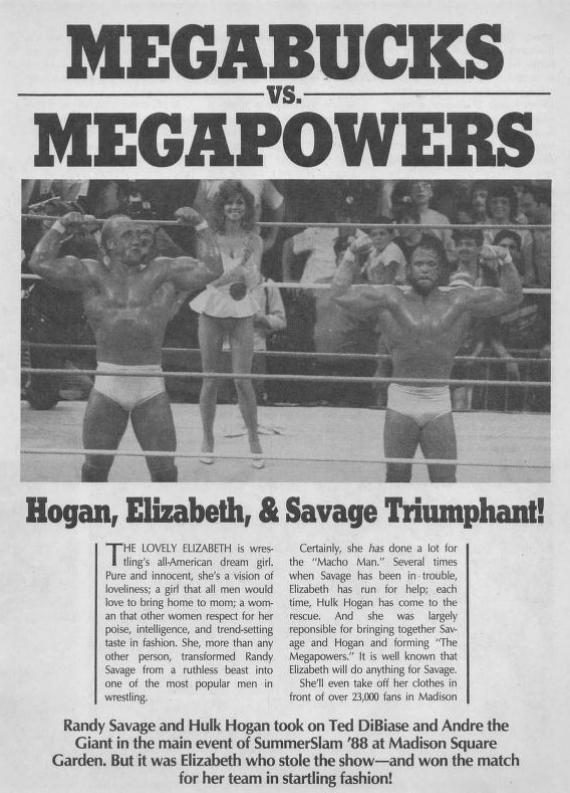 Flashback Friday: The Wrestler December 1988 - Scott's Blog of Doom!