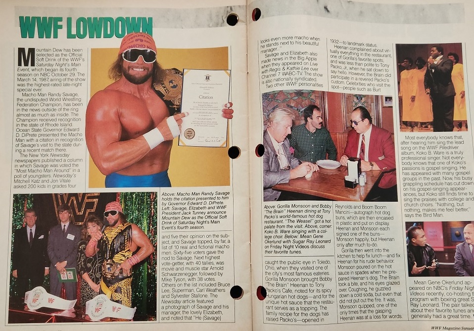Flashback Friday: WWF Magazine January 1989 - Scott's Blog of Doom!
