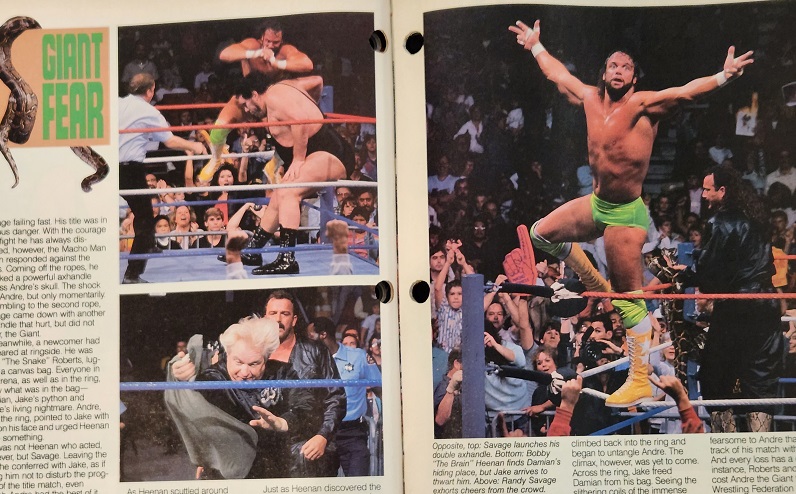 Flashback Friday: WWF Magazine February 1989 - Scott's Blog of Doom!