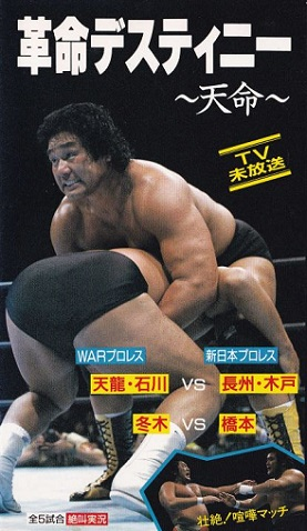 Wrestle And Romance - Revolution Destiny 03/03/93 - Scott's Blog of Doom!