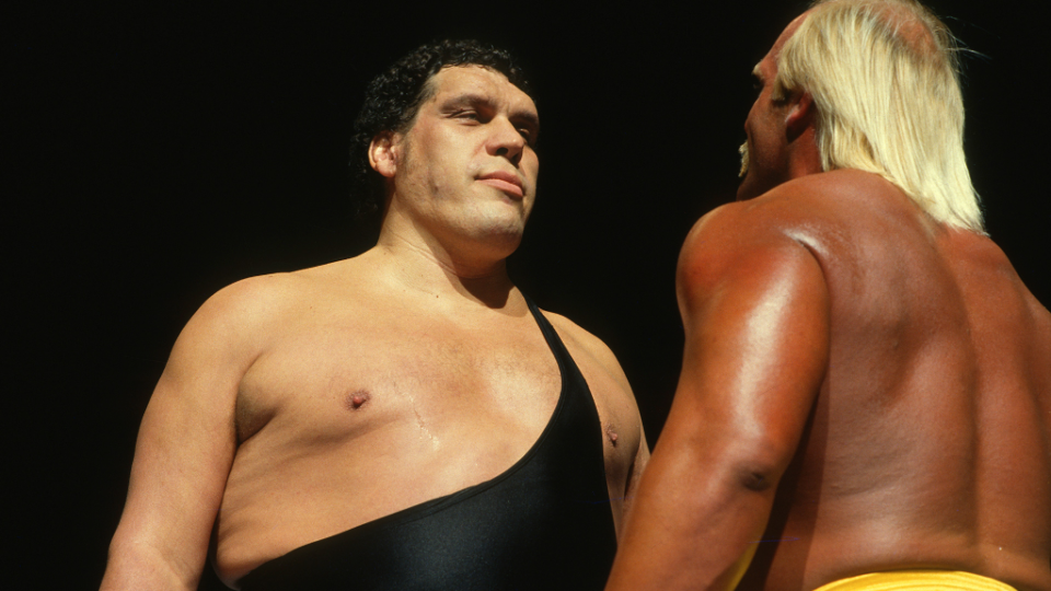 Hulk Hogan's Best WWE Matches (And His Best WCW Matches), Decisively ...
