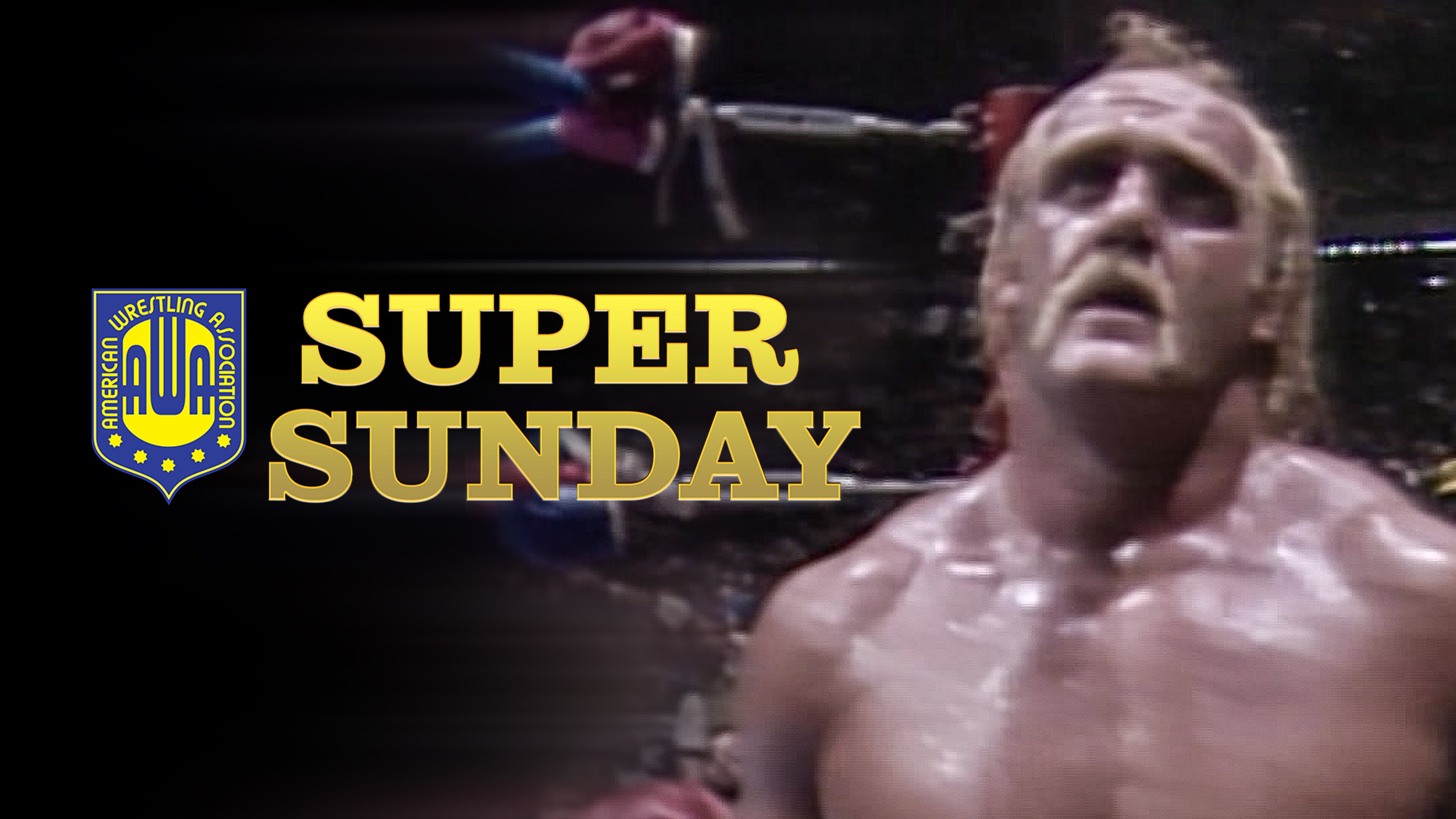 Mike Reviews AWA Super Sunday - Scott's Blog of Doom!