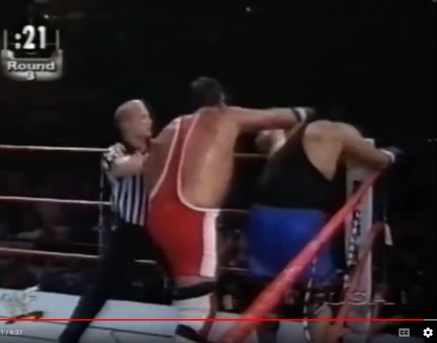 Anatomy of a Disaster: The WWF Brawl For All Tournament - Scott's Blog ...