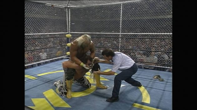Mike Reviews WCW Fall Brawl 1995 - Scott's Blog of Doom!