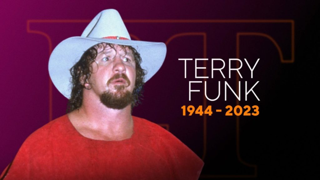 Review: The SmarK Rant for WWE Vault - Terry Funk Mixtape (Part 2)