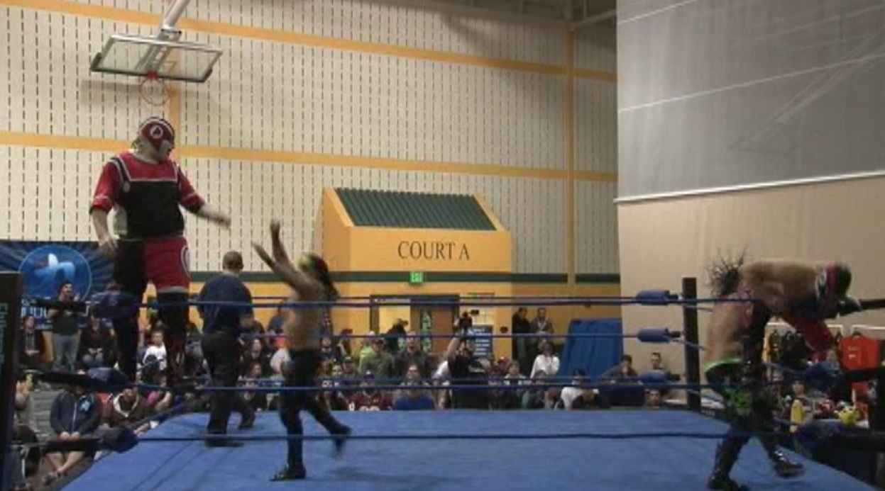 Mike Reviews CHIKARA The Dark Ciberknetico - 23.10.10 - Scott's Blog of ...